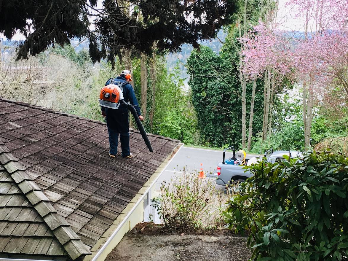 Pressure Washing Roof Tiles - Reign City Property Maintenance